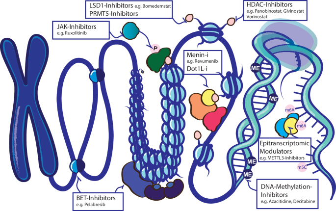The evolving landscape of epigenetic target molecules and therapies in myeloid cancers: focus on ...