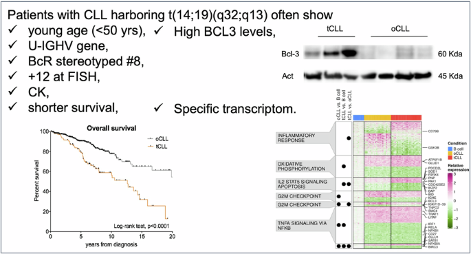 Clinical and transcriptomic characterization of patients with chronic ...