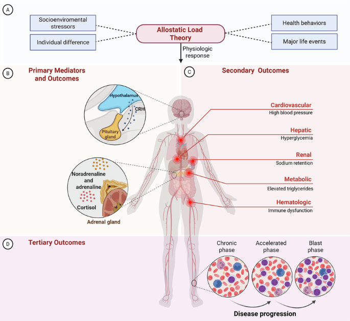 Estimating the burden of chronic stress through allostatic load in ...