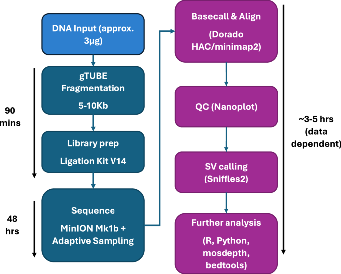 Long read nanopore DNA sequencing with adaptive sampling to identify ...