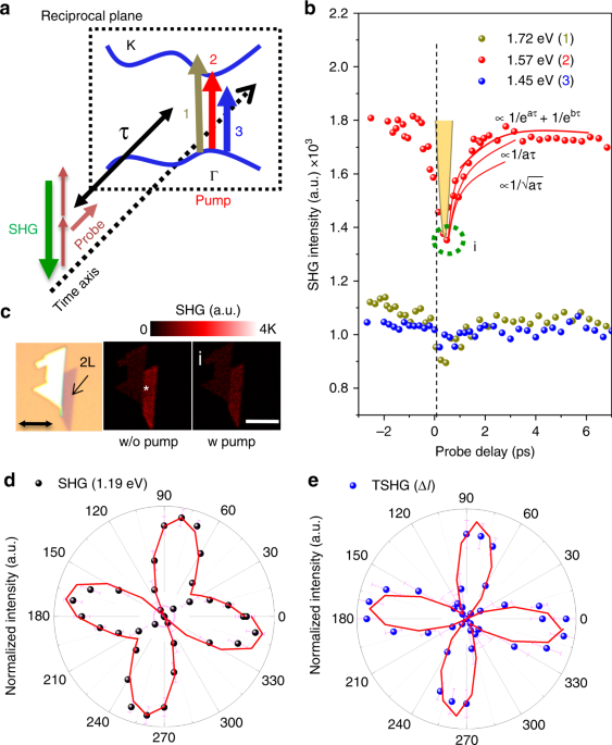 Probing the upper band gap of atomic rhenium disulfide layers | Light ...