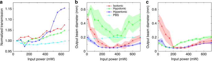 Optical force-induced nonlinearity and self-guiding of light in human ...