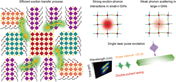 Pulse-doubling perovskite nanowire lasers enabled by phonon-assisted ...