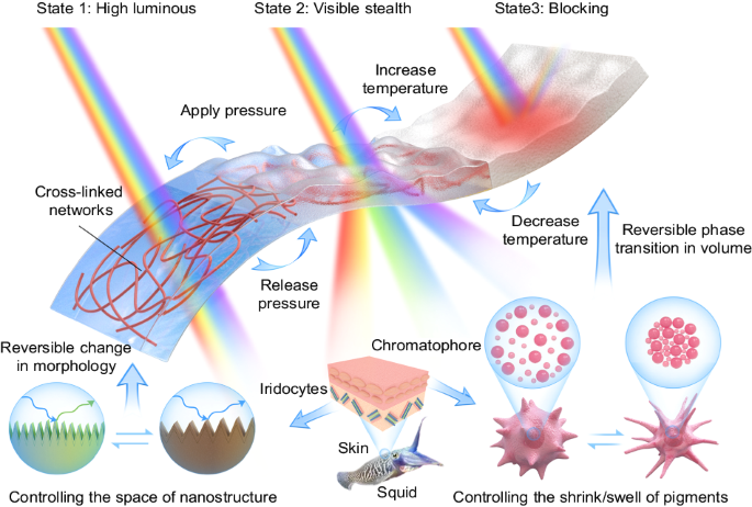 Bio-inspired micropatterned thermochromic hydrogel for concurrent smart ...