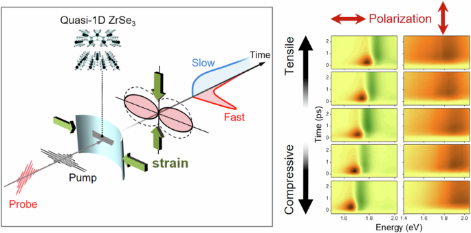 Sub-picosecond, strain-tunable, polarization-selective optical ...