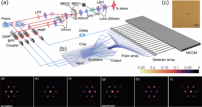 Multi-particle quantum walks on 3D integrated photonic chip | Light ...