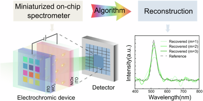 Miniaturized on-chip spectrometer enabled by electrochromic modulation ...