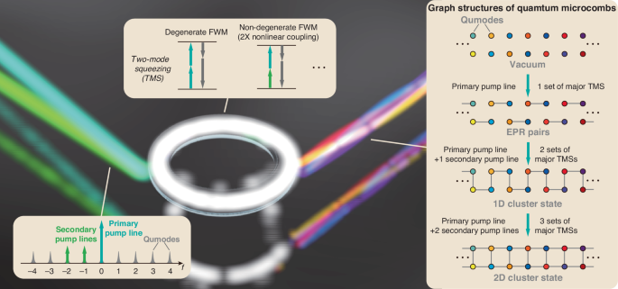 Large-scale cluster quantum microcombs | Light: Science & Applications
