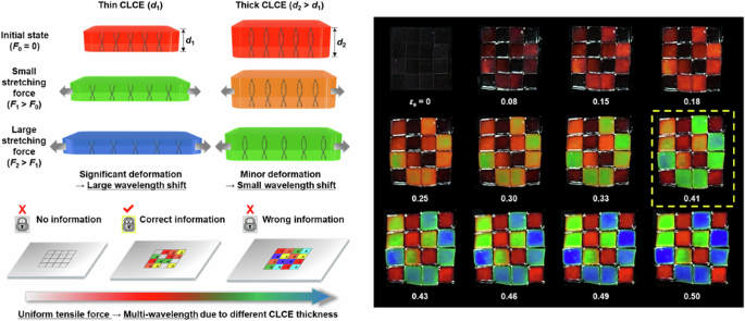 Programmable optical encryption using thickness-controlled stretchable ...