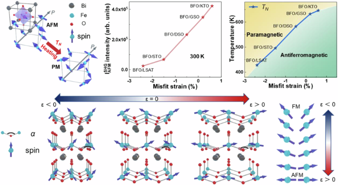 Characterizing G-type antiferromagnetism quantitatively with optical ...