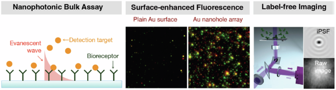 Nanophotonic sensing and label-free imaging of extracellular vesicles ...