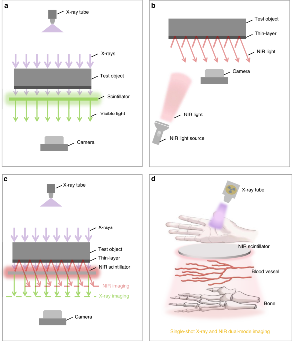 Single-shot X-ray and near-infrared (NIR) dual-mode fusion imaging ...