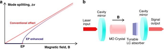 An “exceptional” magnetic sensor | Light: Science & Applications