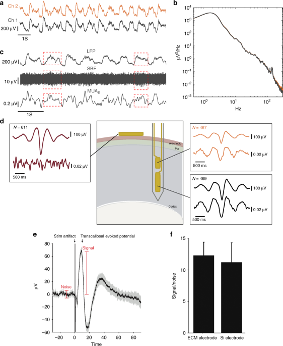 Microfabricated intracortical extracellular matrix-microelectrodes for ...