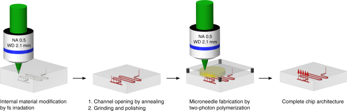 Towards a versatile point-of-care system combining femtosecond laser ...