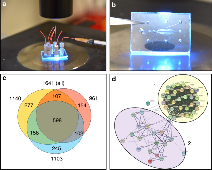 Microfluidic reactors for advancing the MS analysis of fast biological ...
