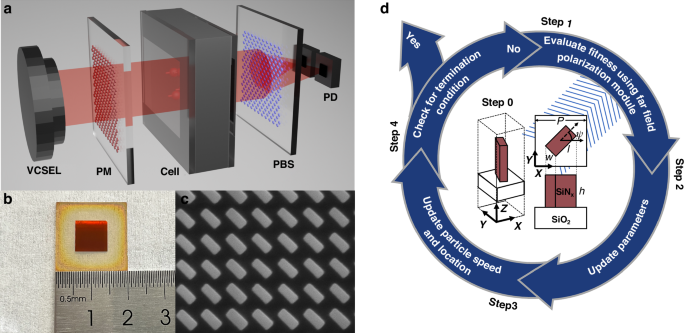 Metasurface-integrated elliptically polarized laser-pumped SERF ...