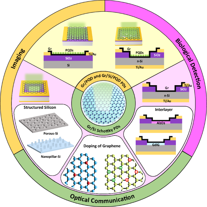 Graphene photodetectors integrated with silicon and perovskite quantum dots | Microsystems ...
