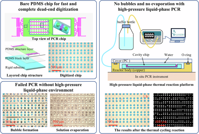 Overcoming bubble formation in polydimethylsiloxane-made PCR chips ...
