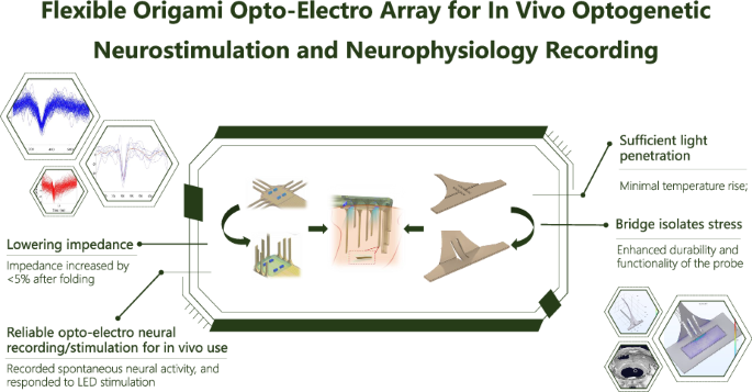 Foldable 3D opto-electro array for optogenetic neuromodulation and ...