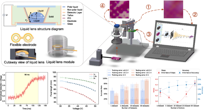 Precision autofocus in optical microscopy with liquid lenses controlled by deep reinforcement ...