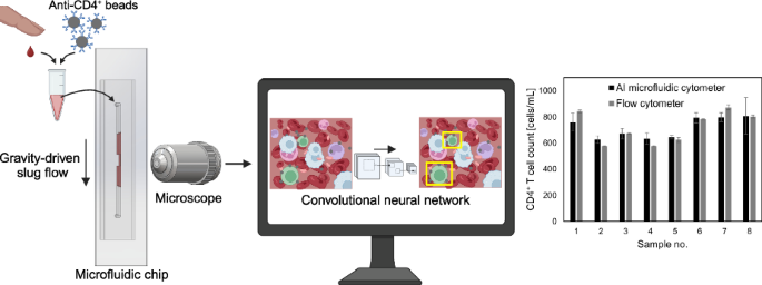 Artificial intelligence-enabled microfluidic cytometer using gravity ...