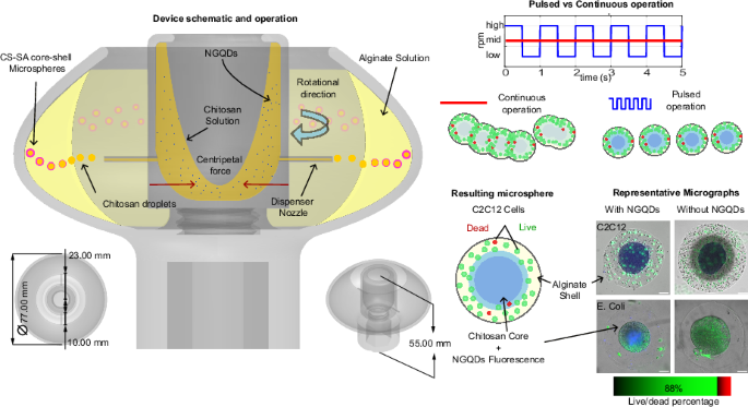 One-step generation of luminescent core-shell microspheres for cell encapsulation via pulsed ...