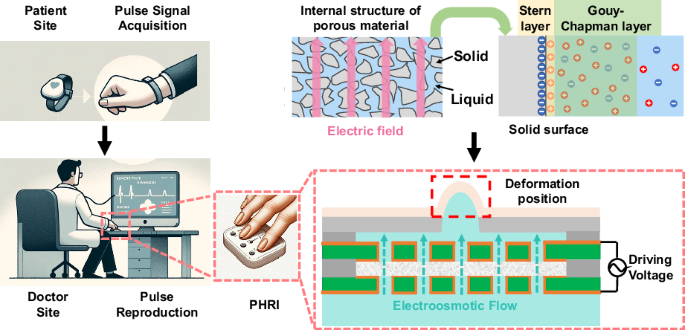 Electroosmotic hydraulic-based haptic reproduction of human pulse with ...