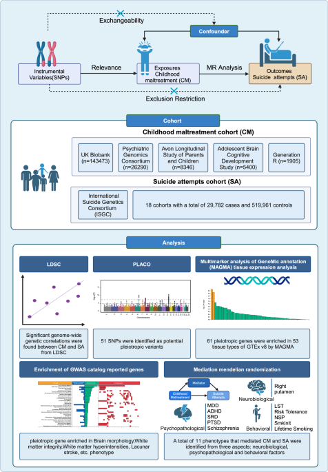 Genetic approach uncovering the pathways between childhood maltreatment ...