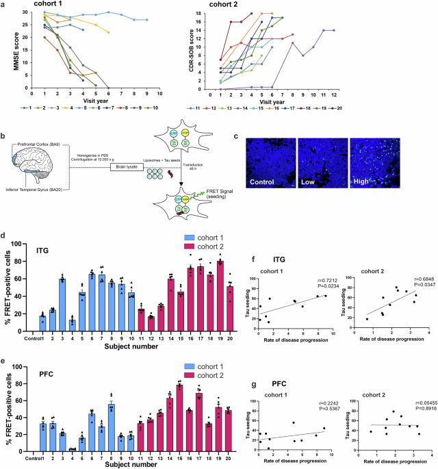 Neocortical tau propagation is a mediator of clinical heterogeneity in ...