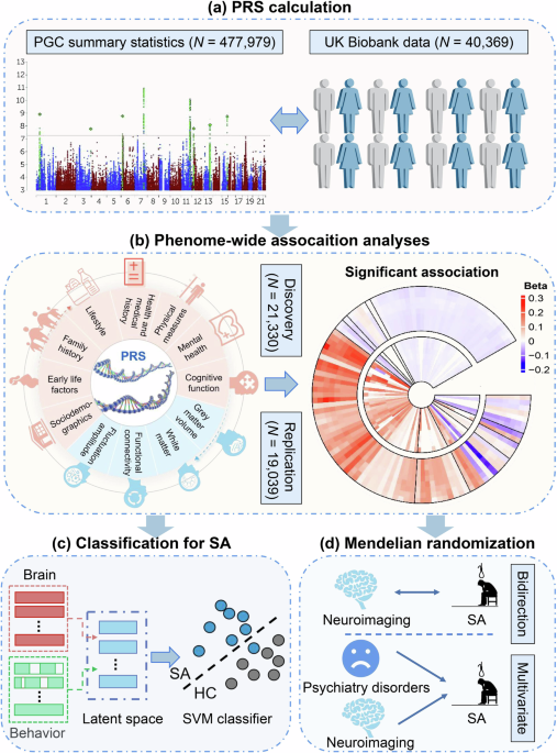 A phenome-wide association and Mendelian randomization study for ...