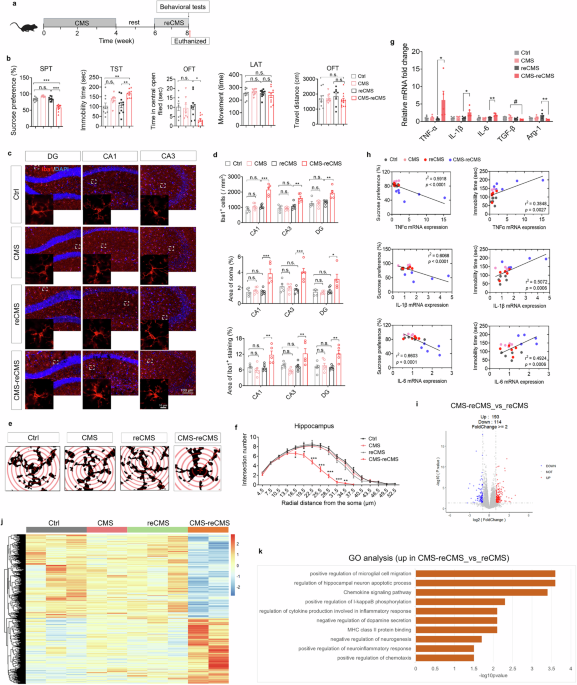 NLRP3-mediated trained immunity of microglia is involved in the ...