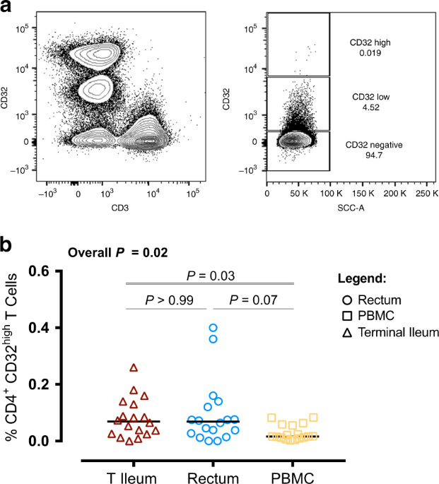 CD32 expressing doublets in HIV-infected gut-associated lymphoid tissue ...