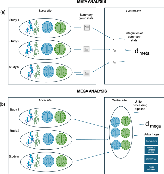 Harnessing mega-analysis in the era of “big data” neuroimaging | Neuropsychopharmacology