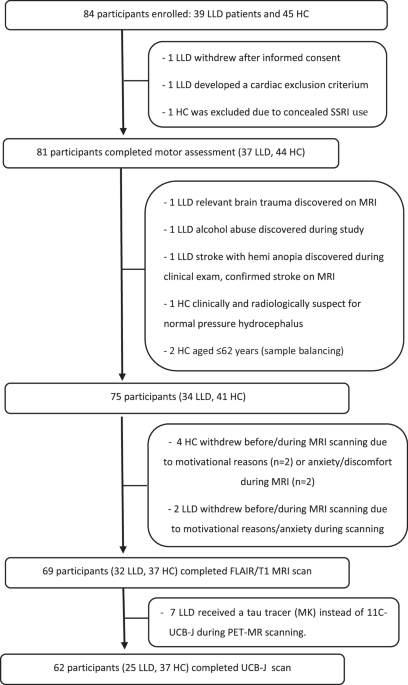 Motor signs in late life depression relate to altered subcortical synaptic density and gray ...