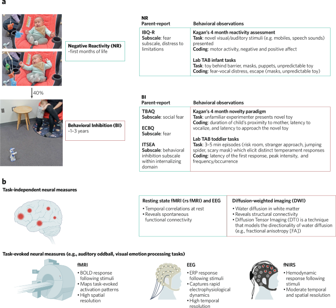 Early-life neural correlates of behavioral inhibition and anxiety risk ...