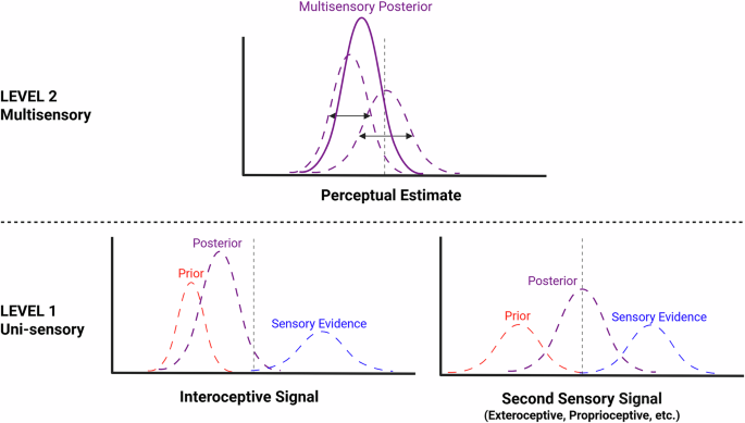 Moving from isolation to integration: a Bayesian multisensory perspective of interoception and ...