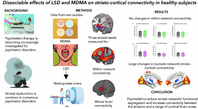 Dissociable effects of LSD and MDMA on striato-cortical connectivity in ...