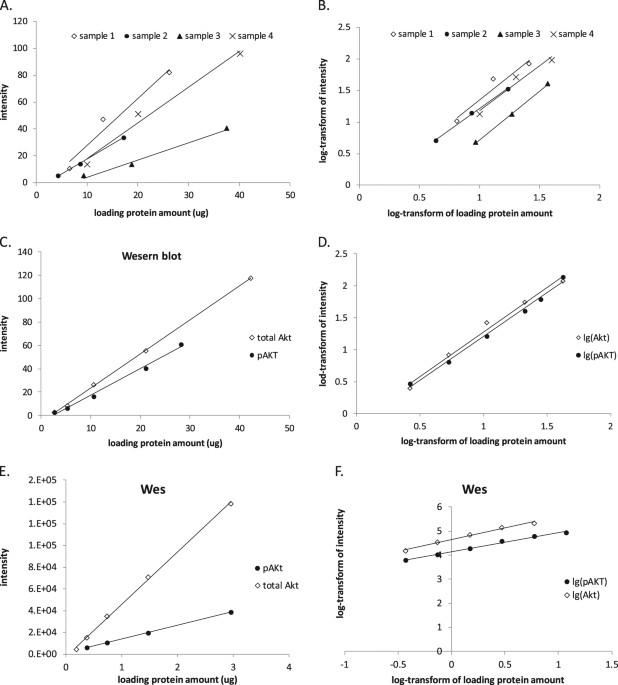 Human adipose tissue protein analyses using capillary western blot ...