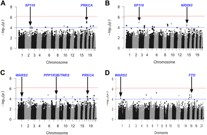 Genetic variants in SEC16B are associated with body composition in ...