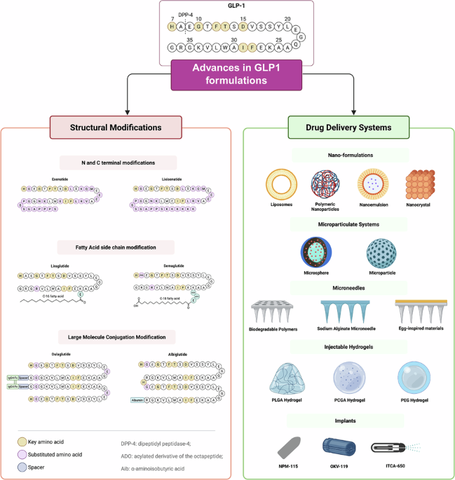 Designing GLP-1 delivery: structural perspectives and formulation ...