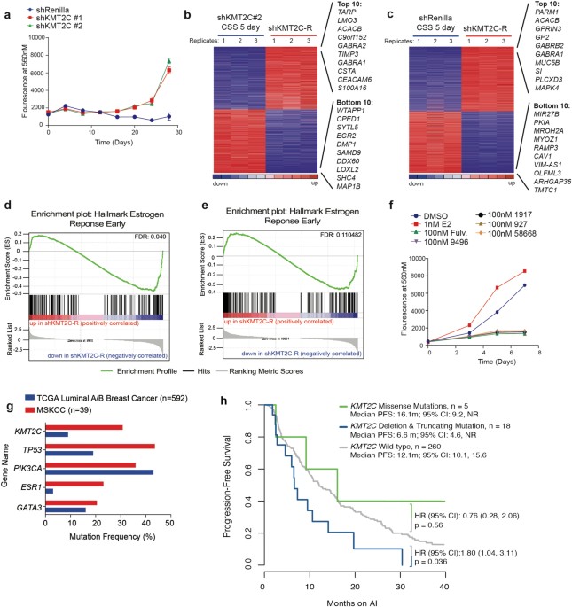 KMT2C mediates the estrogen dependence of breast cancer through ...