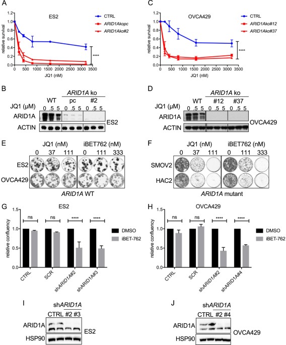 ARID1A mutation sensitizes most ovarian clear cell carcinomas to BET ...