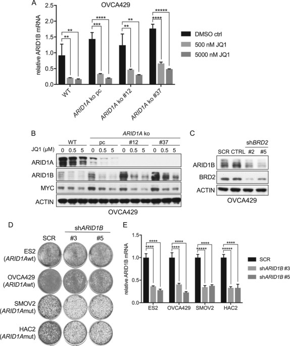 ARID1A mutation sensitizes most ovarian clear cell carcinomas to BET ...