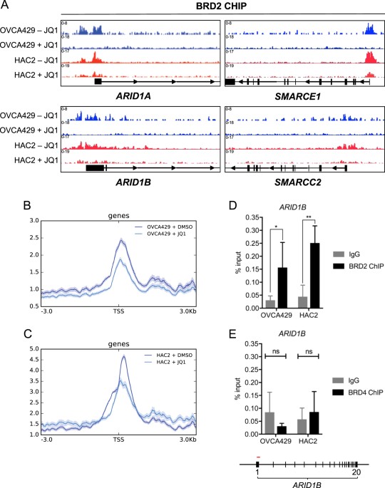 ARID1A mutation sensitizes most ovarian clear cell carcinomas to BET ...