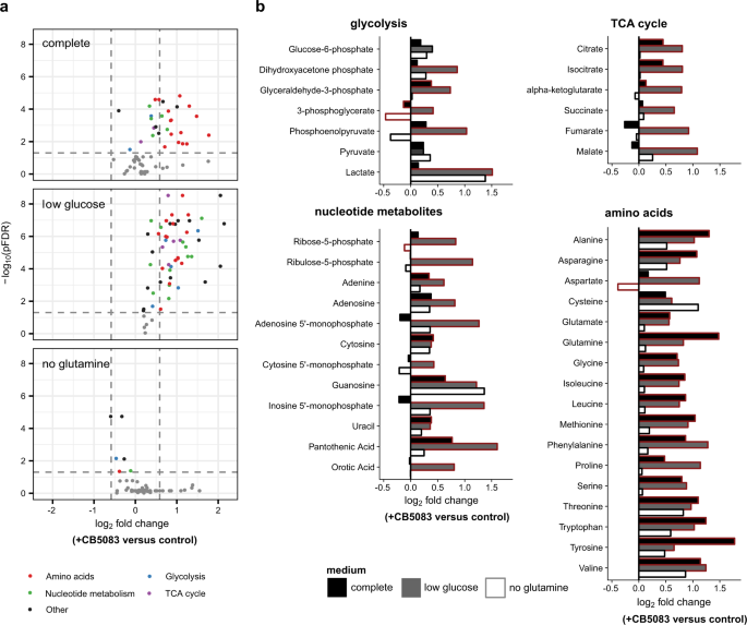 The coordinated action of VCP/p97 and GCN2 regulates cancer cell ...