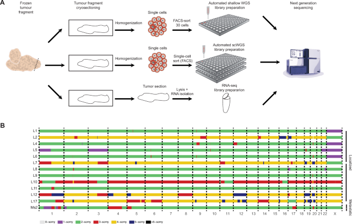 Single-cell chromosome and bulk transcriptome analysis as a diagnostic ...