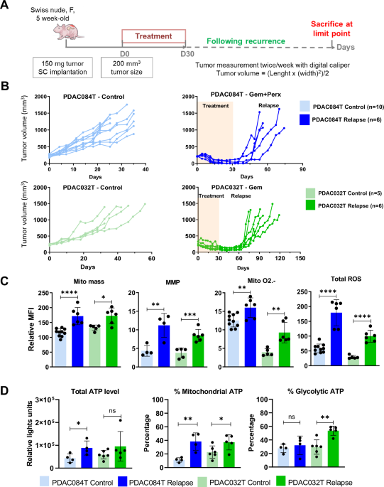 Adaptation of redox metabolism in drug-tolerant persister cells is a ...