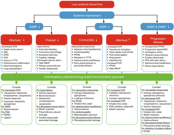 The role of Neonatologist Performed Echocardiography in the assessment ...