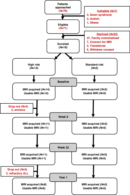 Progression of brain injuries associated with methotrexate chemotherapy ...